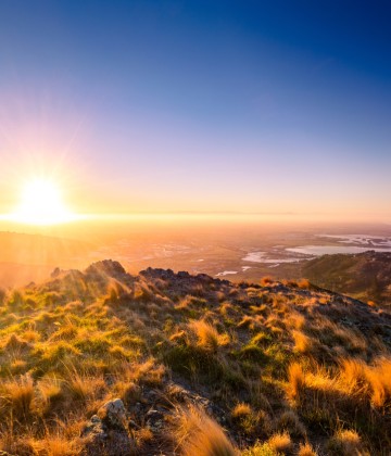 Megan Gall | Associate | Young Hunter Lawyers