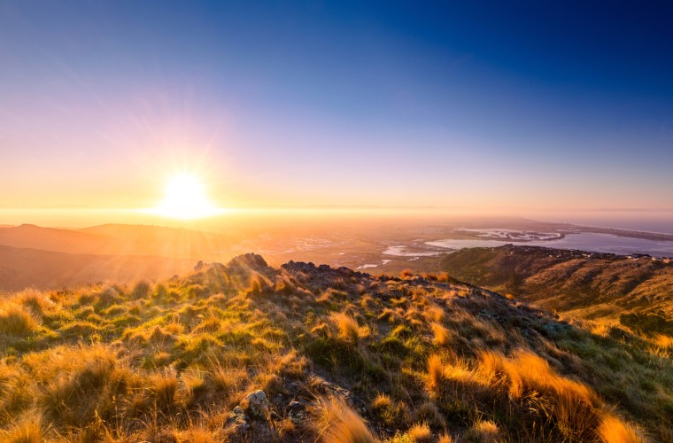 Megan Gall | Associate | Young Hunter Lawyers