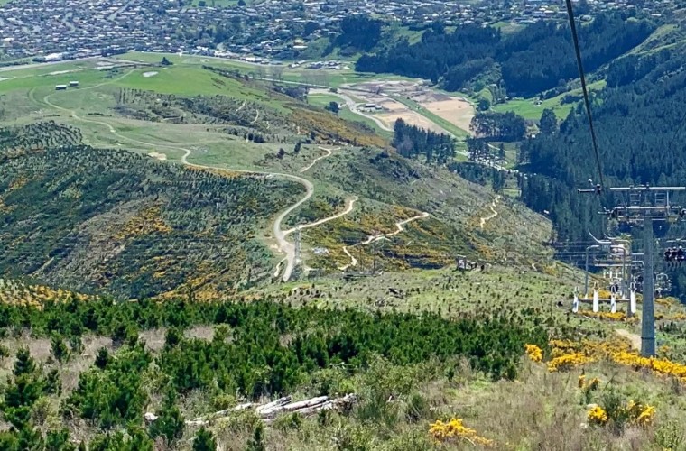 Megan Gall | Associate | Young Hunter Lawyers