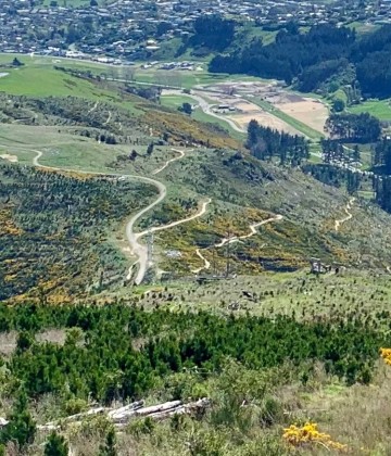 Megan Gall | Associate | Young Hunter Lawyers